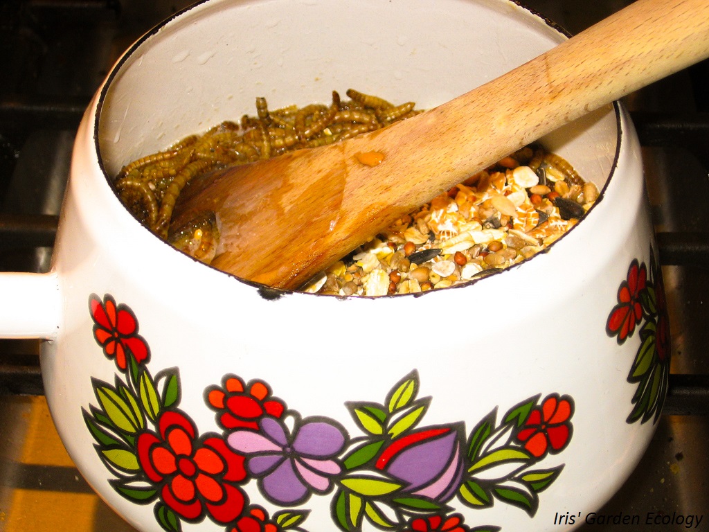 Test: zelf vetbollen maken | Iris' Garden Ecology