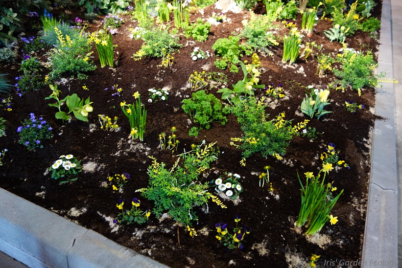 In 10 stappen: hoe begin je met tuinieren? | Iris' Garden Ecology