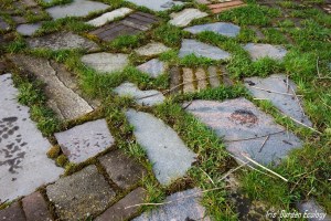 16 Ideeën voor hergebruik van tuintegels en stenen | Iris' Garden Ecology