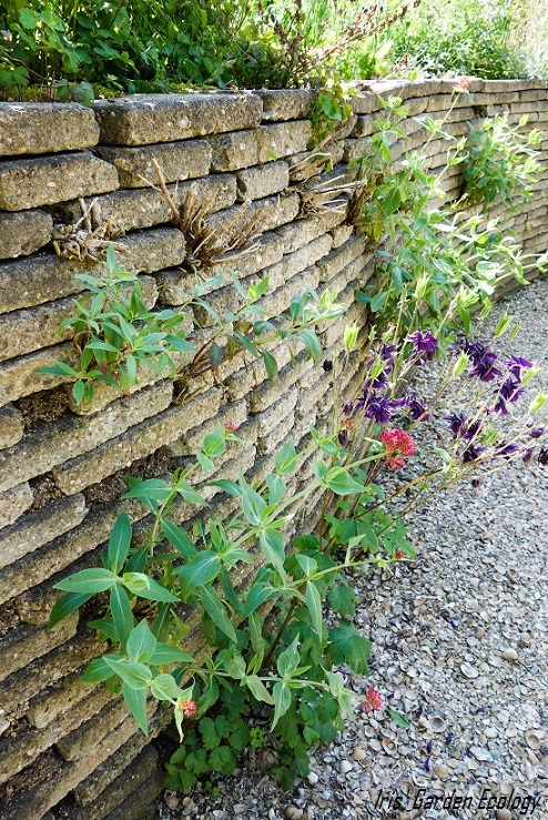 16 Ideeën voor hergebruik van tuintegels en stenen | Iris' Garden Ecology
