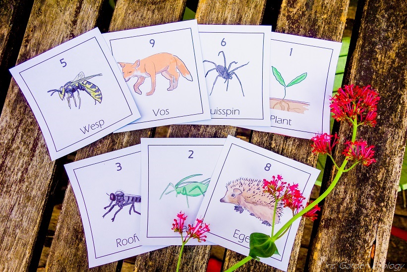 Food chain game [Free download!] | Iris' Garden Ecology